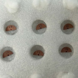 Phased Array probe element丨Probes for Industrial NDT 丨Phased array ...